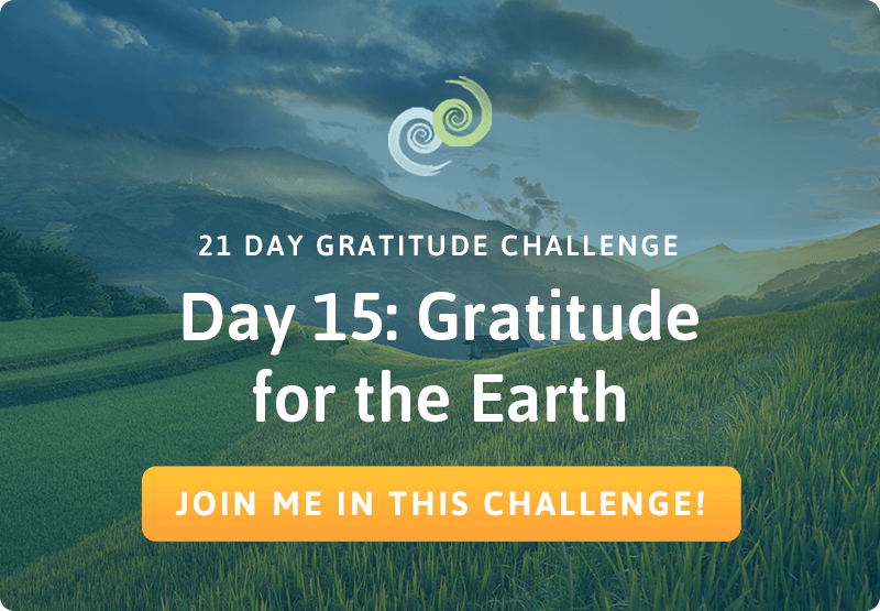 Gratitude for the Earth