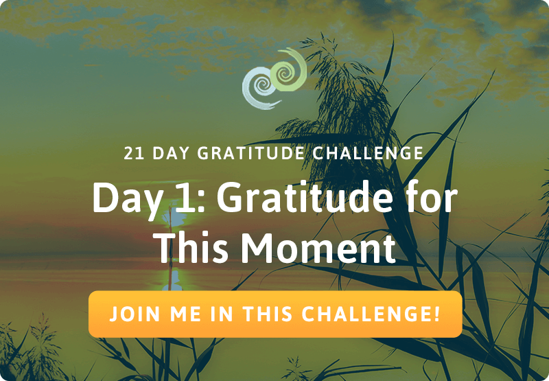Gratitude for This Moment