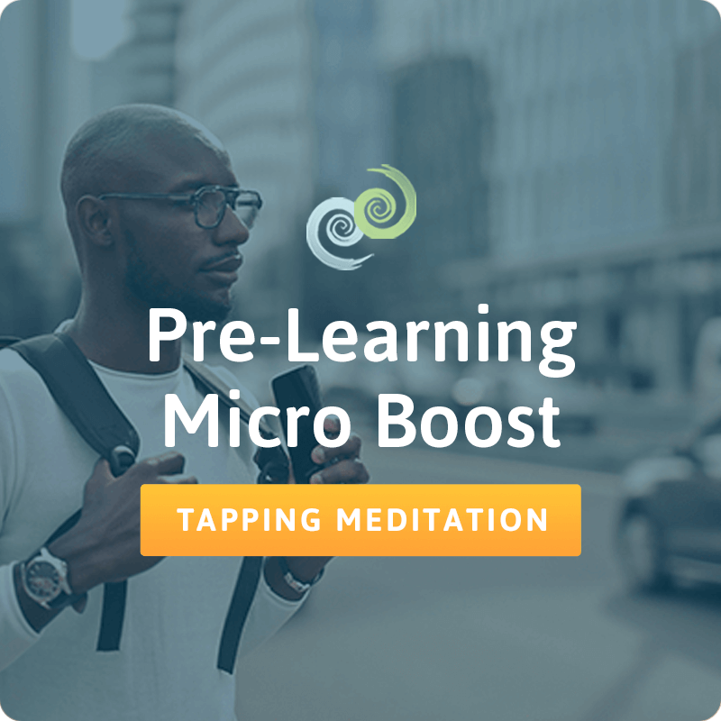 Pre-Learning Micro Boost