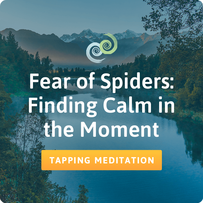 Fear of Spiders: Finding Calm in the Moment