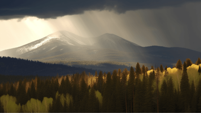 28 Day Chronic Pain Relief Program