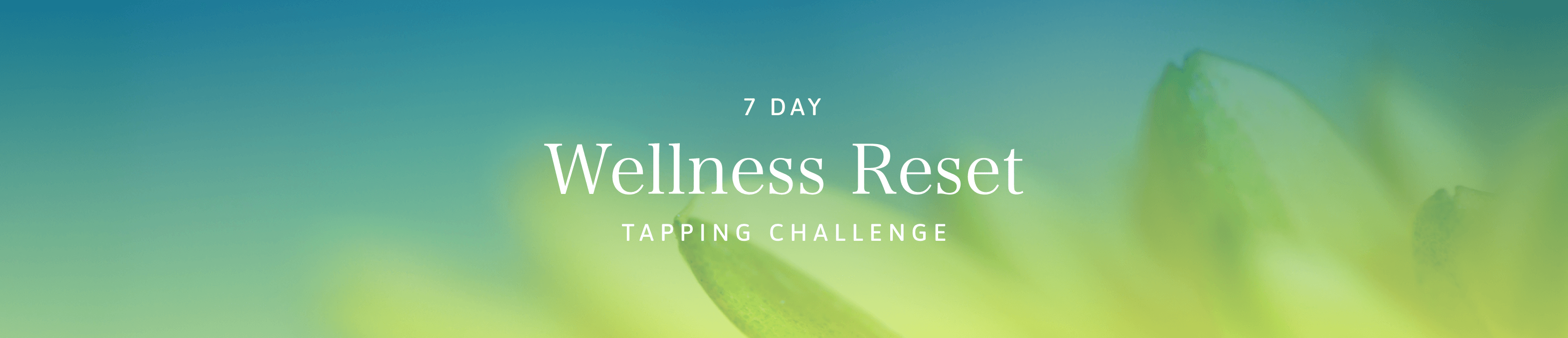 7 Day Wellness Reset