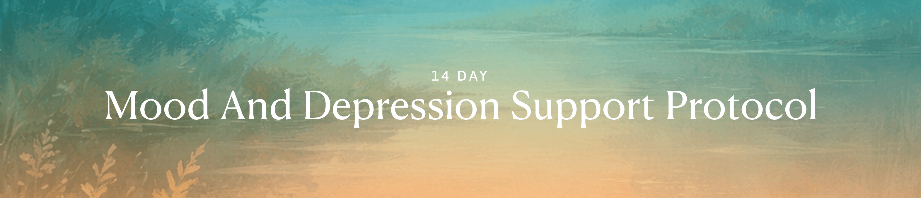14 Day Mood and Depression Support Protocol