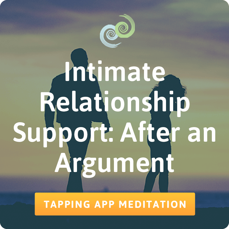 Intimate Relationship Support: After an Argument